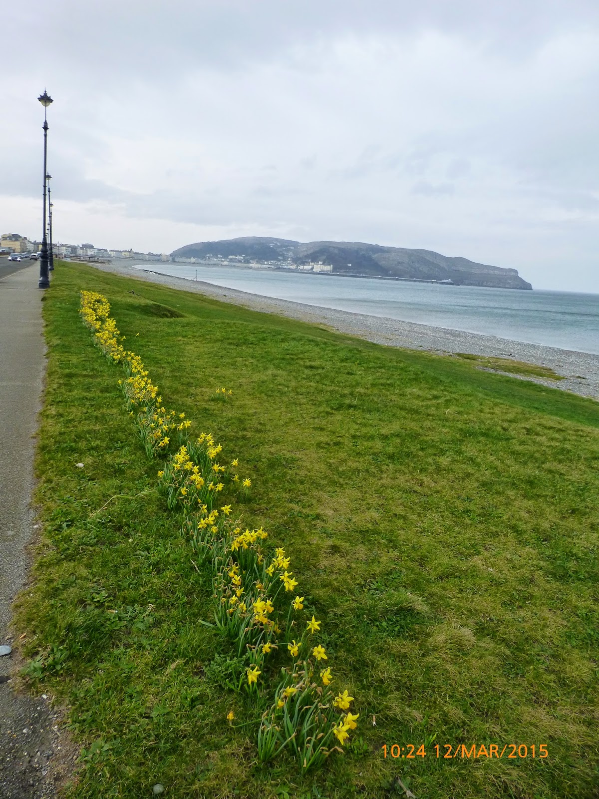 Harris Hikers: The Little Orme and a Coastal Walk 12th March 2015