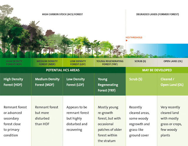 Lindungi Hutan Dengan HCS Approach dan HCS Approach Toolkit Versi 2.0 ...