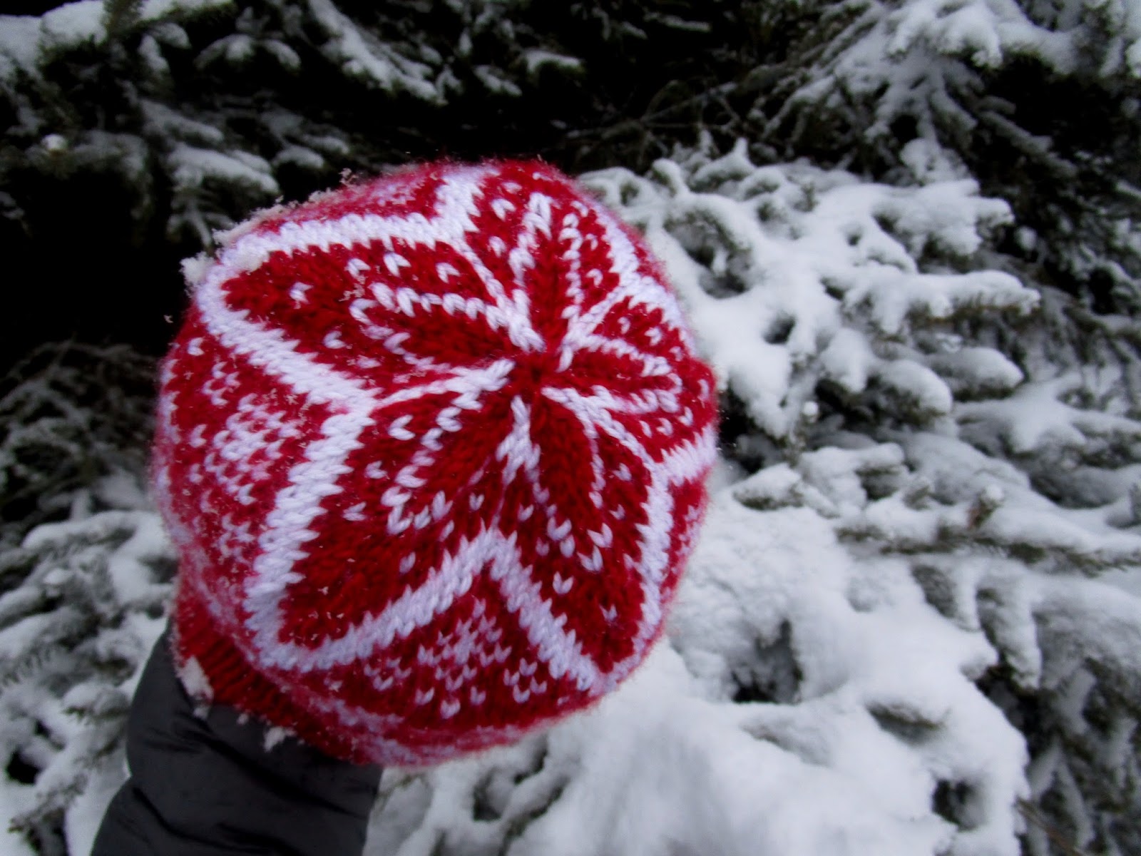 The Li'l Hayseed Blog: Star of Winter free hat pattern
