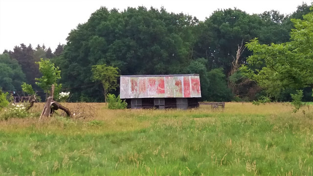Annemieke Wandelt: 4 juni 2018 - klompenpad KopermolenPad