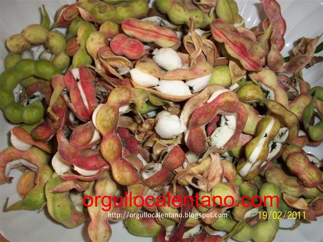 Soy de Tierra Caliente: Frutas - Olores, sabores y colores de Tierra ...