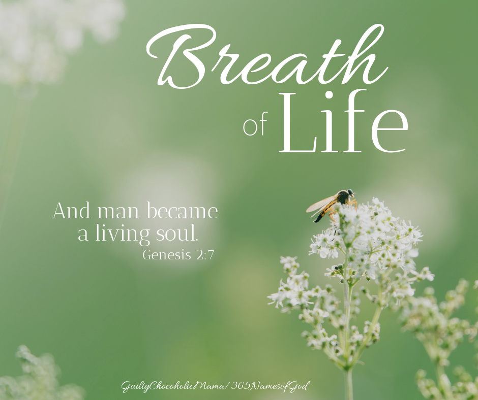Gods Breath Of Life