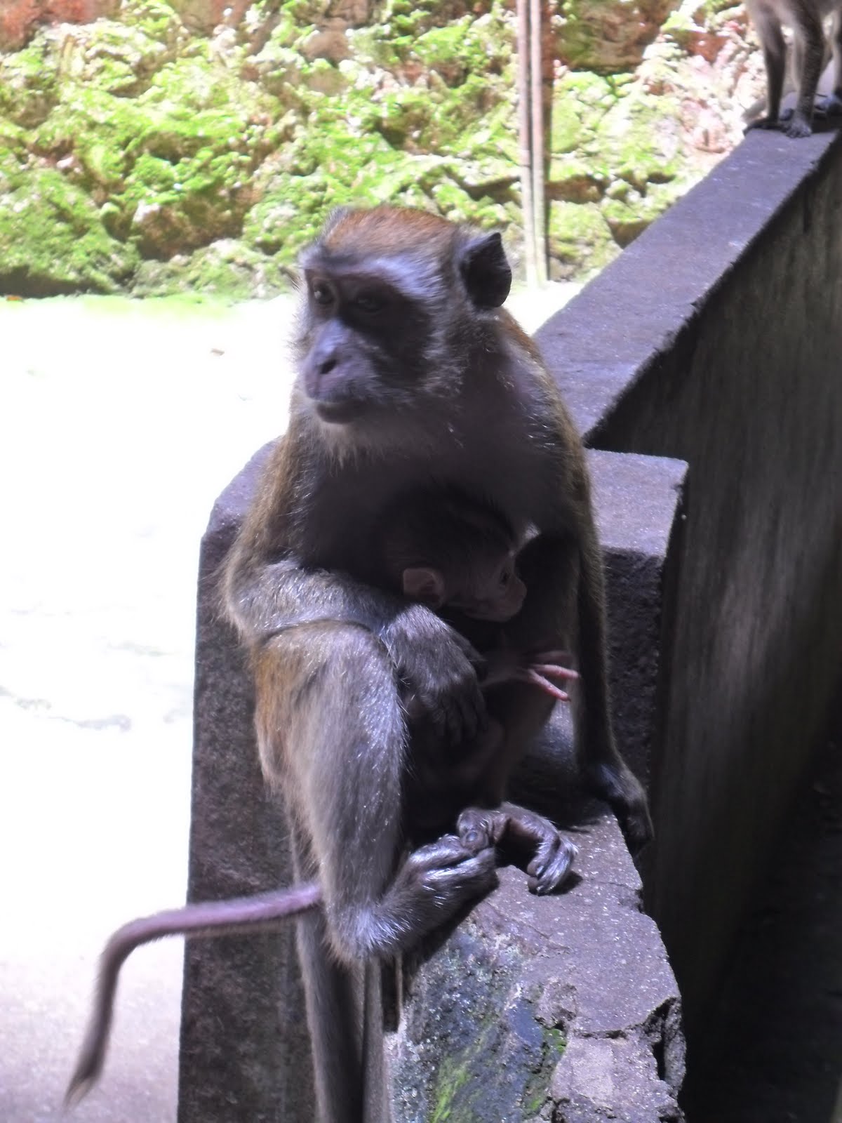 Freelance Flaneur: Ner ner ner ner, ner ner ner ner, Batu Caves