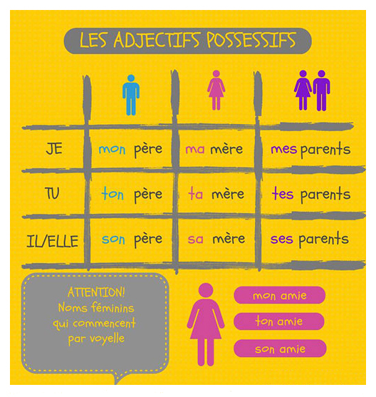 Notre blog de français: Les possessifs (un possesseur) - grammaire