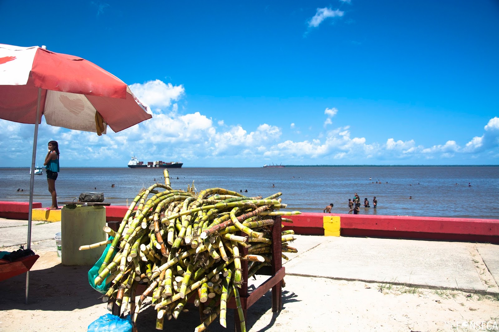 Praia Da Fazendinha Macapá - LIBRAIN