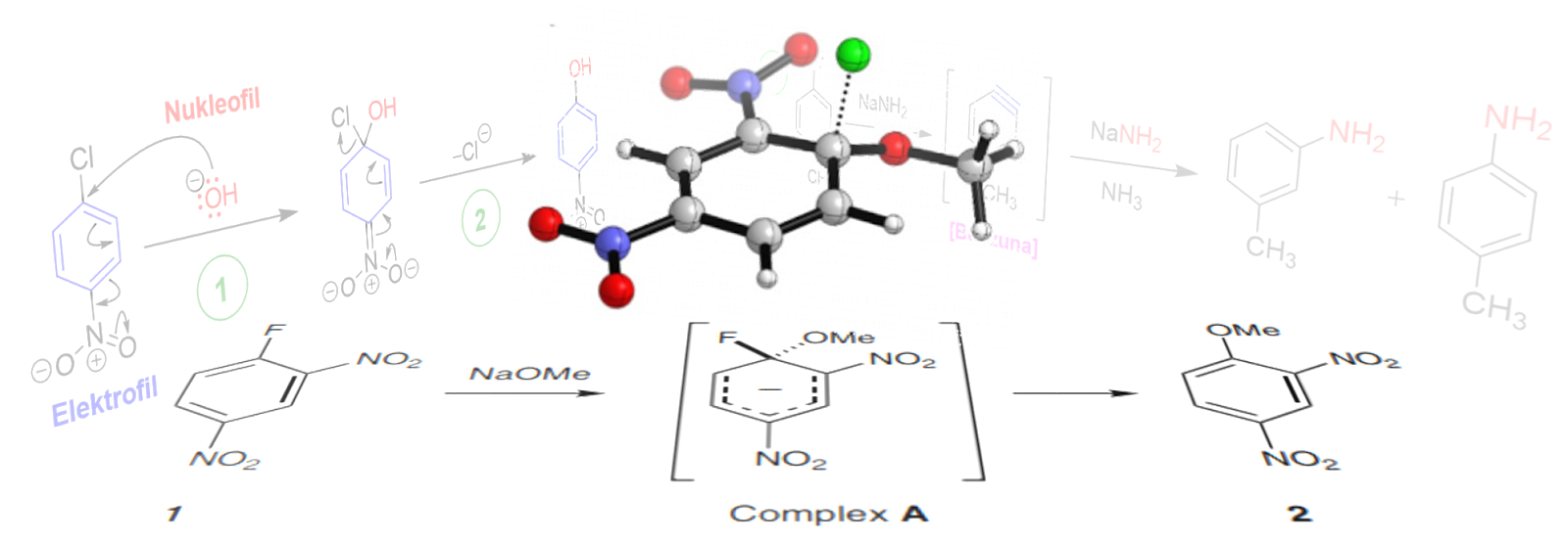 Kimia Organik Fisik: Reaksi Substitusi Nukleofilik Aromatik