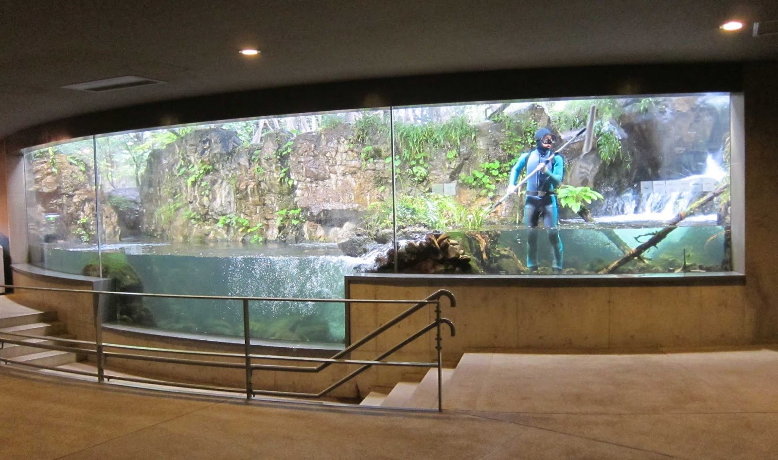 Zoo and Aquarium Design: Outdoor aquarium tanks