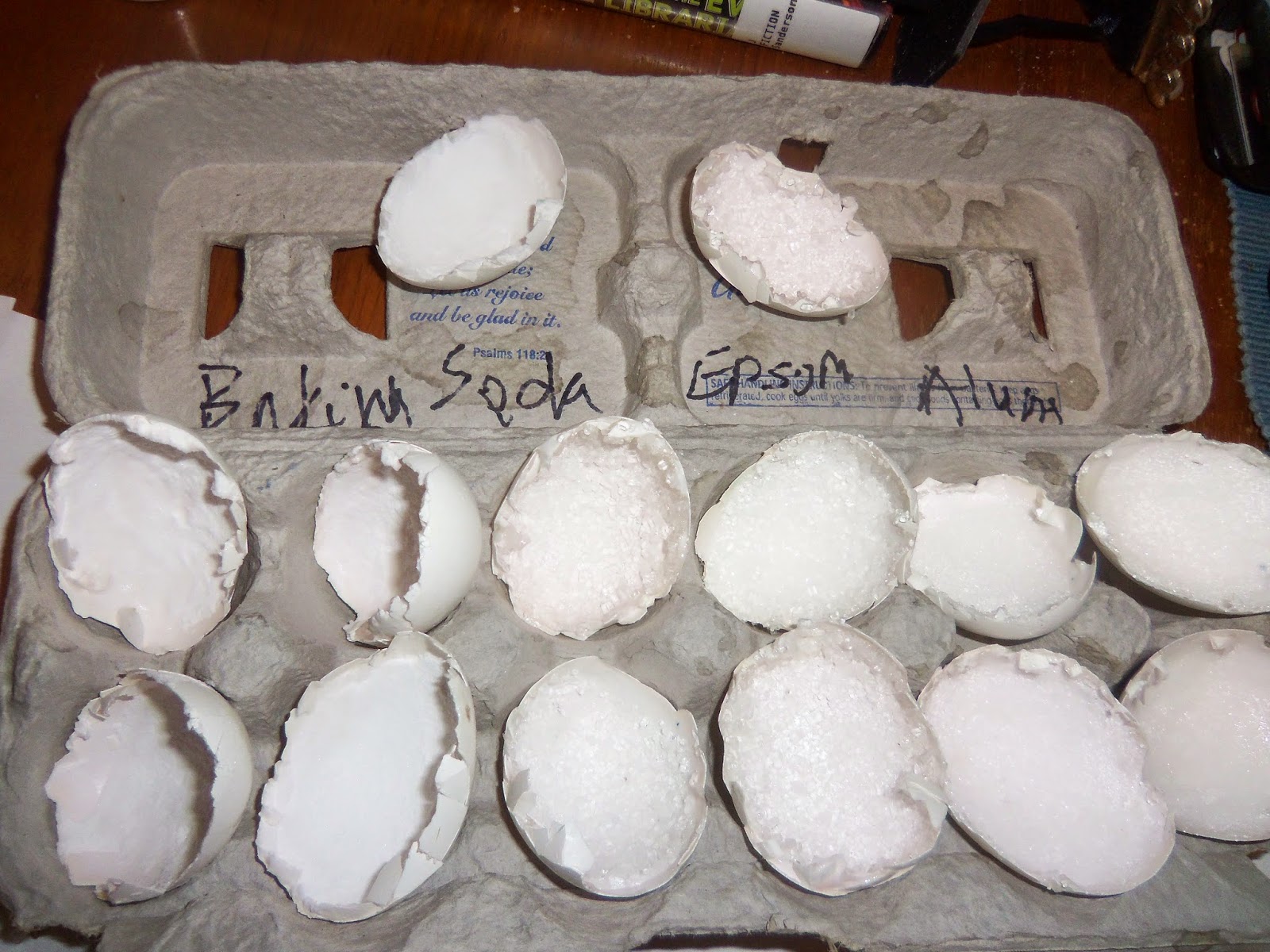 lyndy's rants and raves: science fair - egg geodes