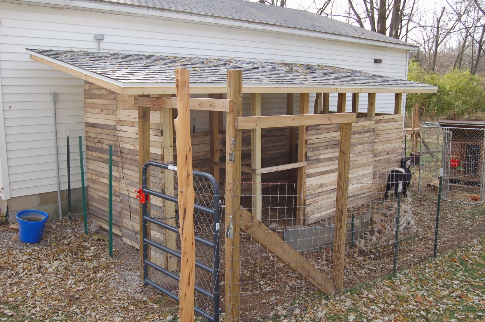 Our Little Backyard Farm: Pallet Goat Shed