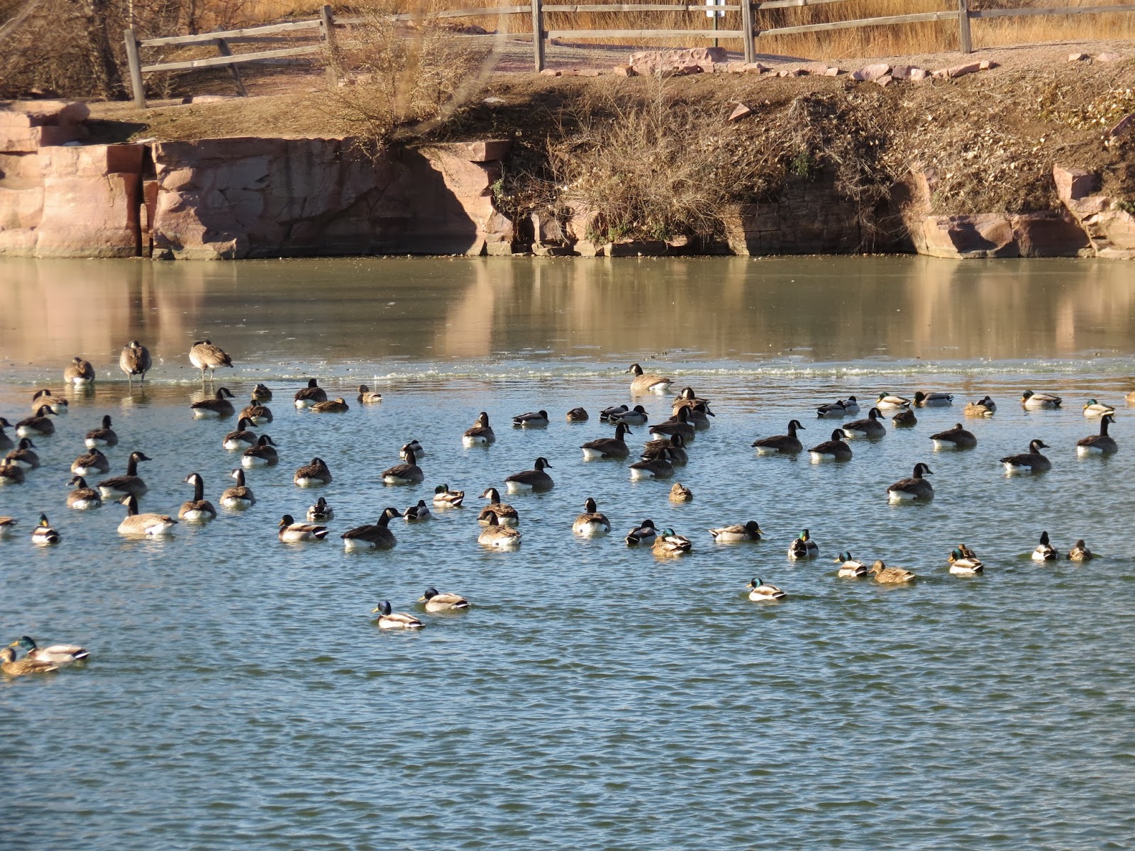 Hiking Sioux Falls: Arrowhead Park in the Early Winter