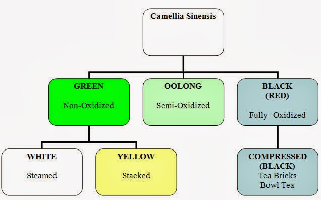 Oksidasi Dalam Proses Pembuatan Teh ~ Your Tea Guide