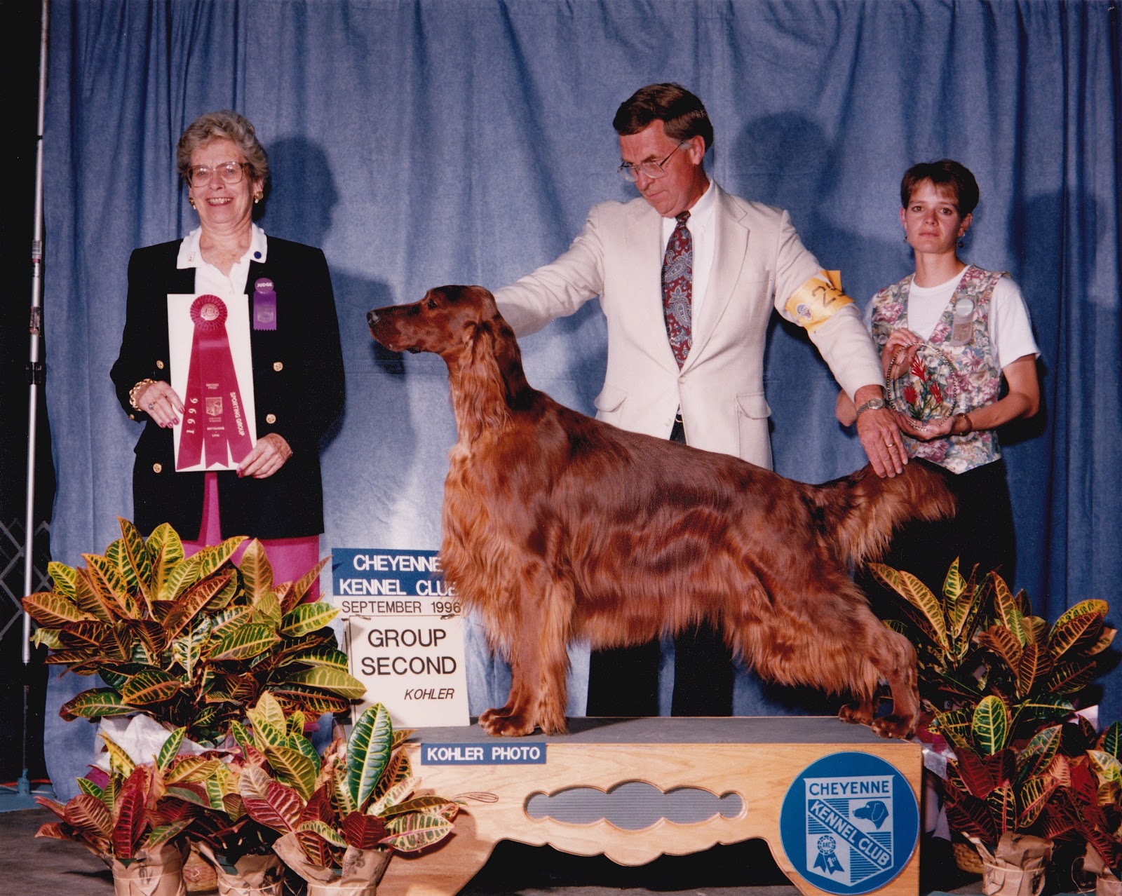 Irish Setters Irlandés Allegiance : Irish Setter Irlandés News and ...