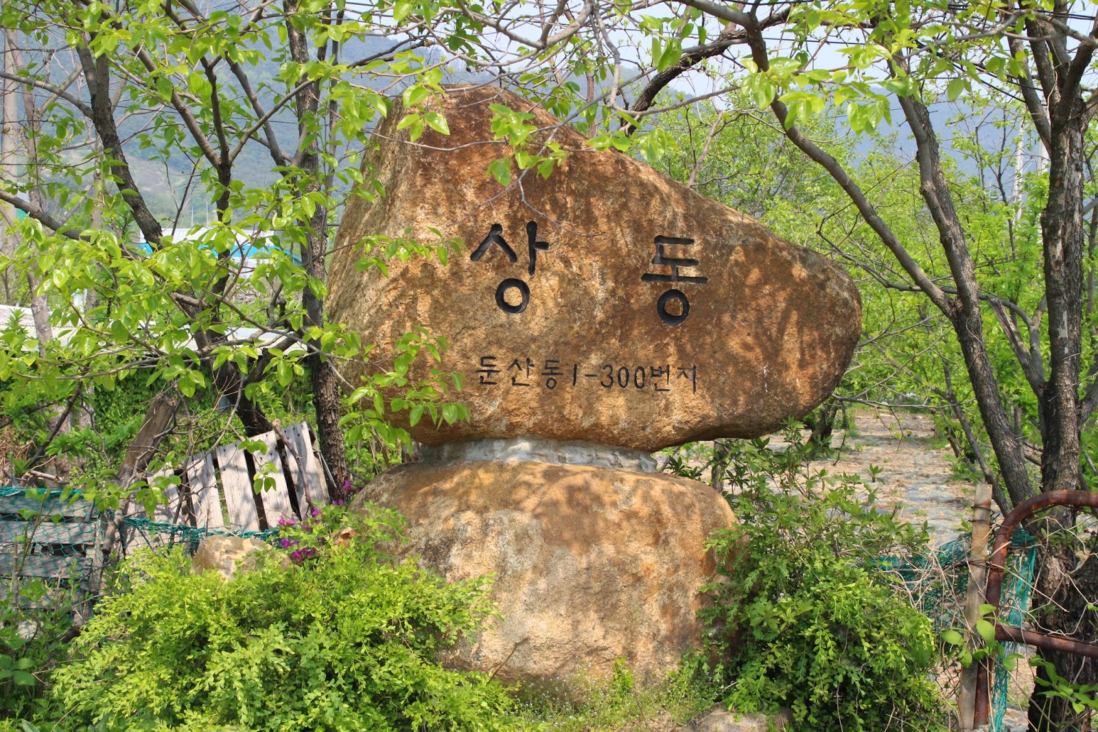 Colorful experiences at Daegu / Come to Daegu to experience harvest of ...