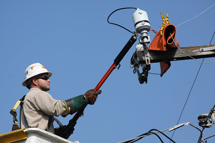 Austin Energy: Squirrels Impact Electric System Reliability in Austin