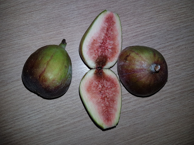 FIGO - FRUTA? ~ Restauranter