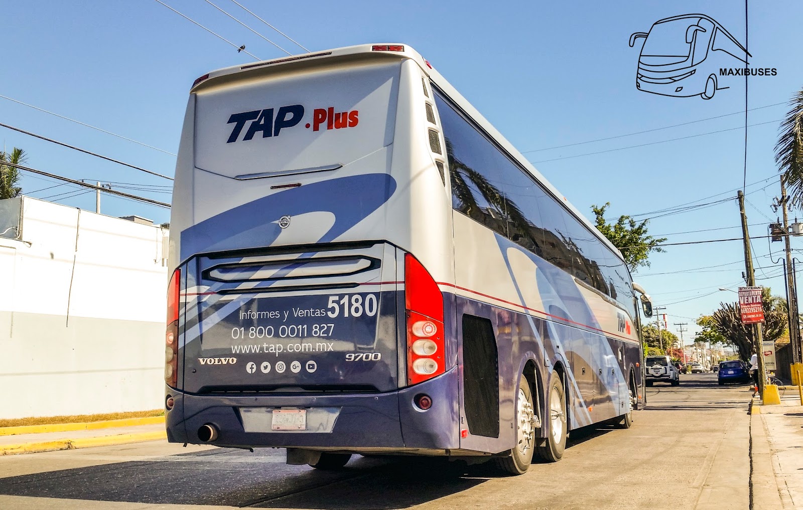 MAXIBUSES: TRANSPORTES Y AUTOBUSES DEL PACÍFICO, PLUS (TAP)