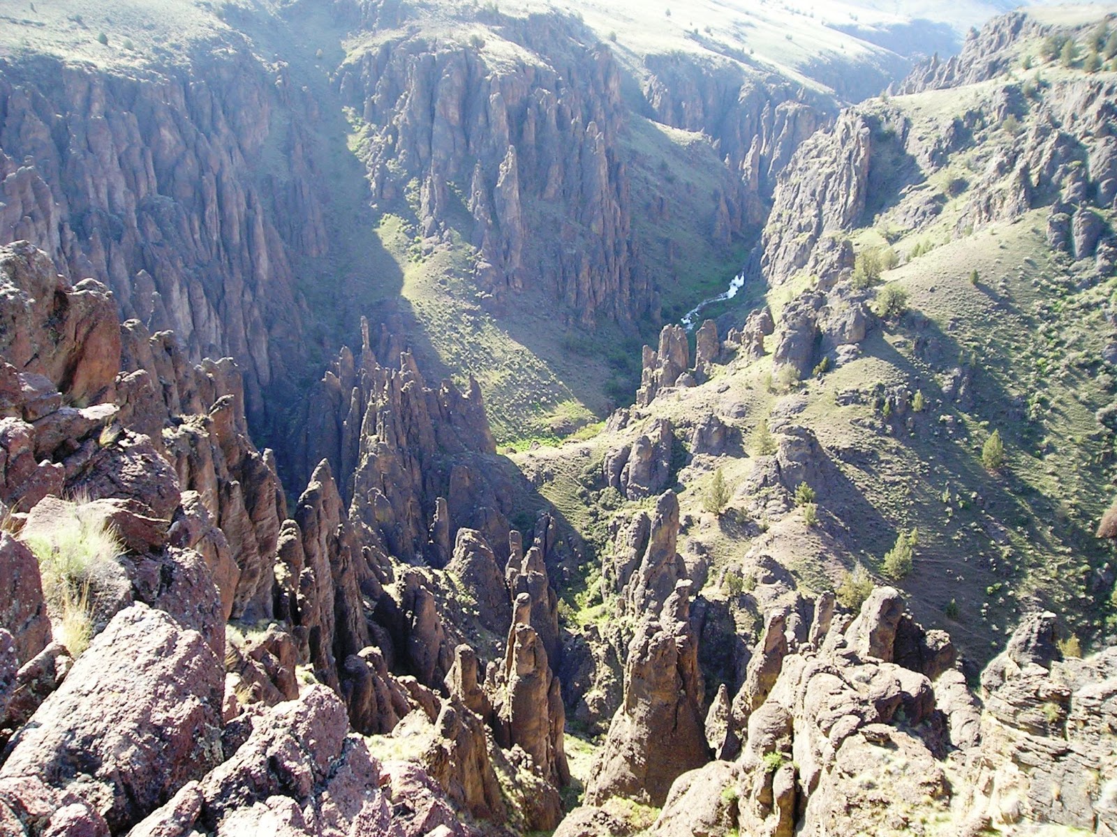 Birding Is Fun!: Three Forks of the Owyhee River