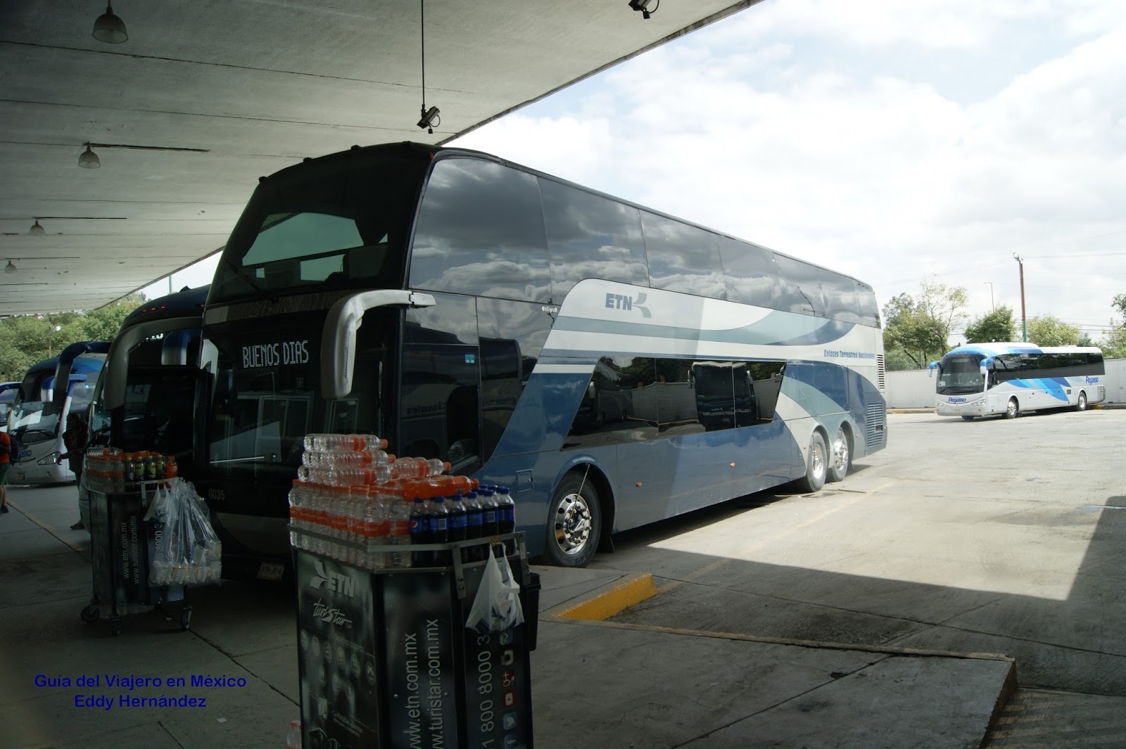 Líneas de Lujo: ETN, Enlaces Terrestres Nacionales