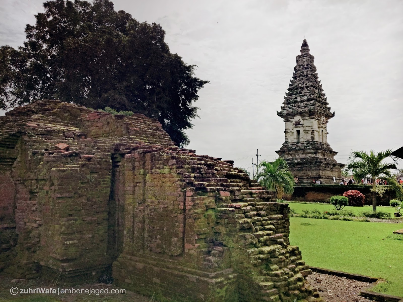 Jelajah Budaya di Candi Jawi - OMBONEJAGAD