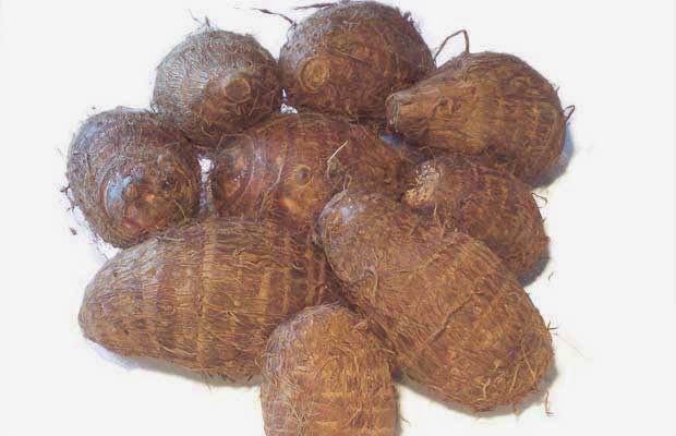 INTERCAMBIO DE SEMILLAS: SEMILLAS QUE TENGO O PUEDO CONSEGUIR, PARA ...