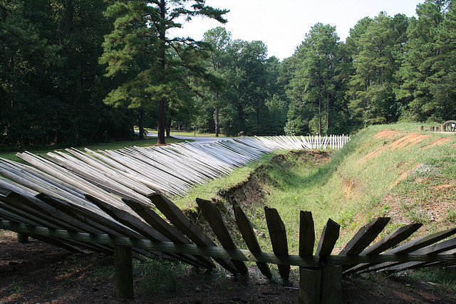 Rants, Ravings & Rememberances of an old Frog