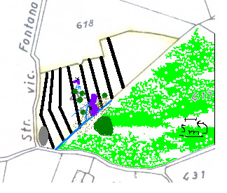 Path to Self Sufficiency: Designing a Pond - The Permaculture Way