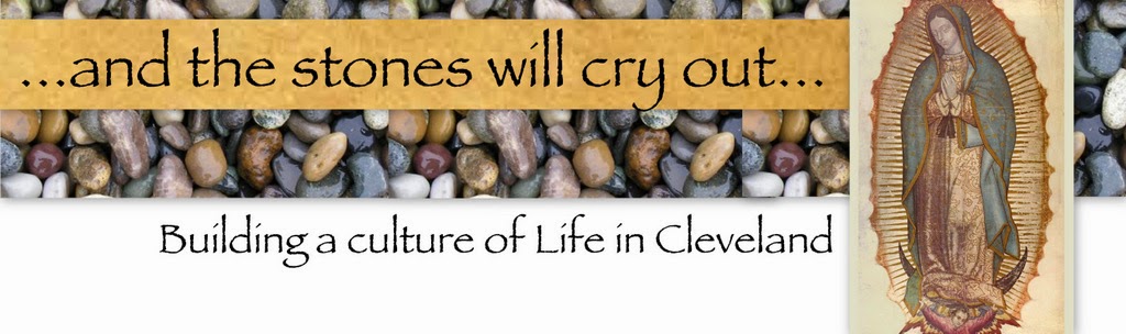 ...and the Stones Cry Out