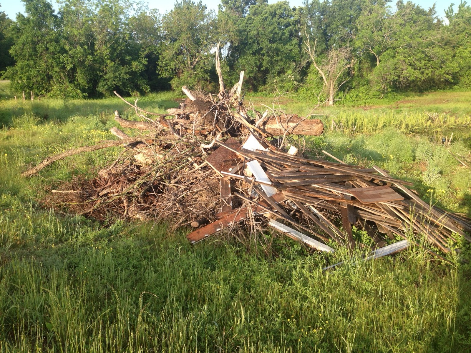 Hen Hollow Homestead: This and That