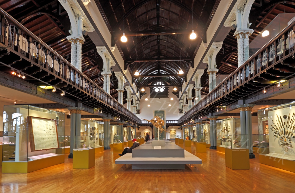 Dougie Coull Photography: Hunterian Museum - Glasgow University