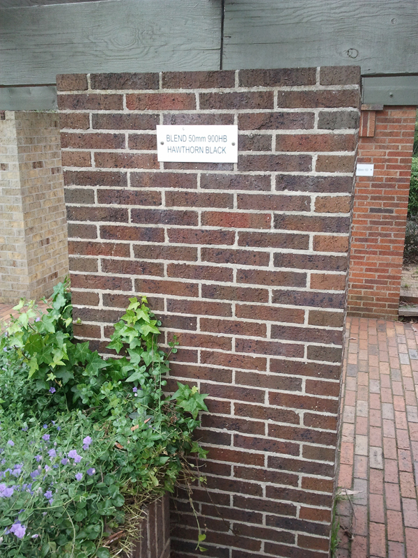 The House, The Car, The Kids...: Daniel Robertson Bricks