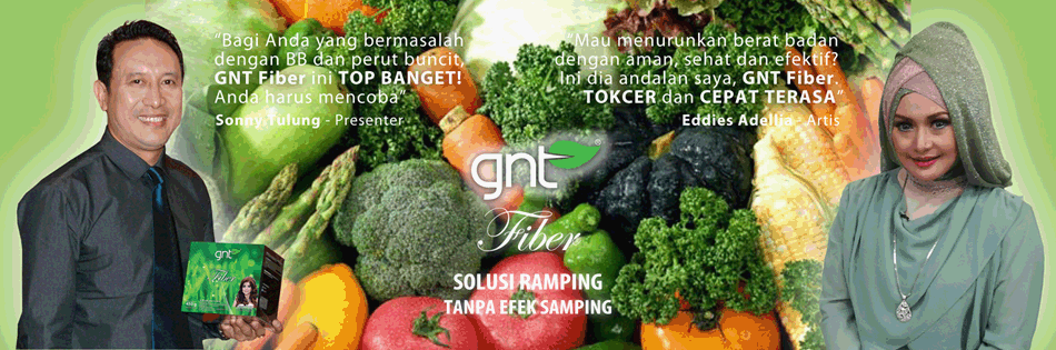 GNT FIBER