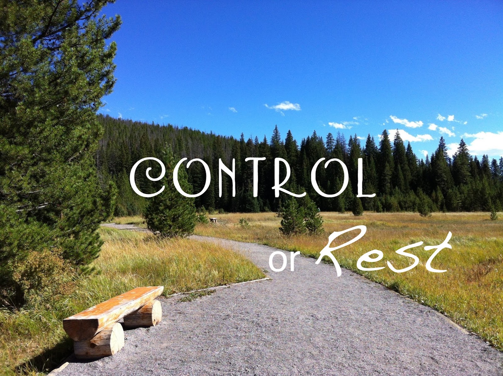 Pursuing Heart: Control or Rest