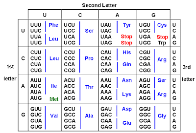 One Culture—Biochemistry for Citizens: Unit 3. DNA: From Genes to Proteins