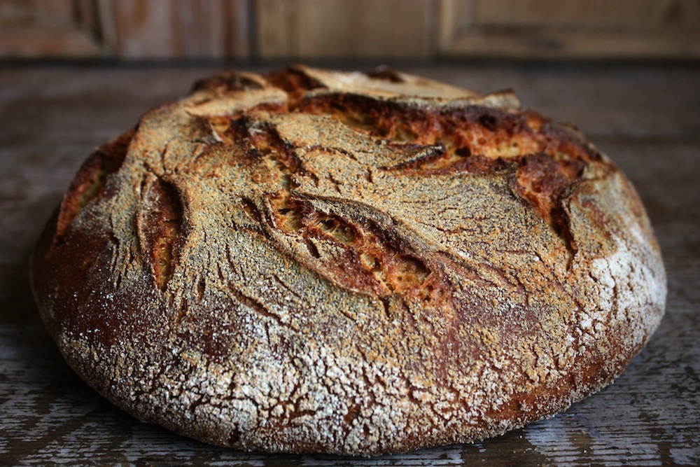 Girl Meets Rye : Pane Siciliano (and A New Michette)