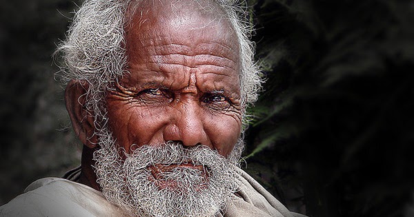 Parnassus Americano: LA SABIDURÍA DE DON TIMOTEO Fund. Televisa