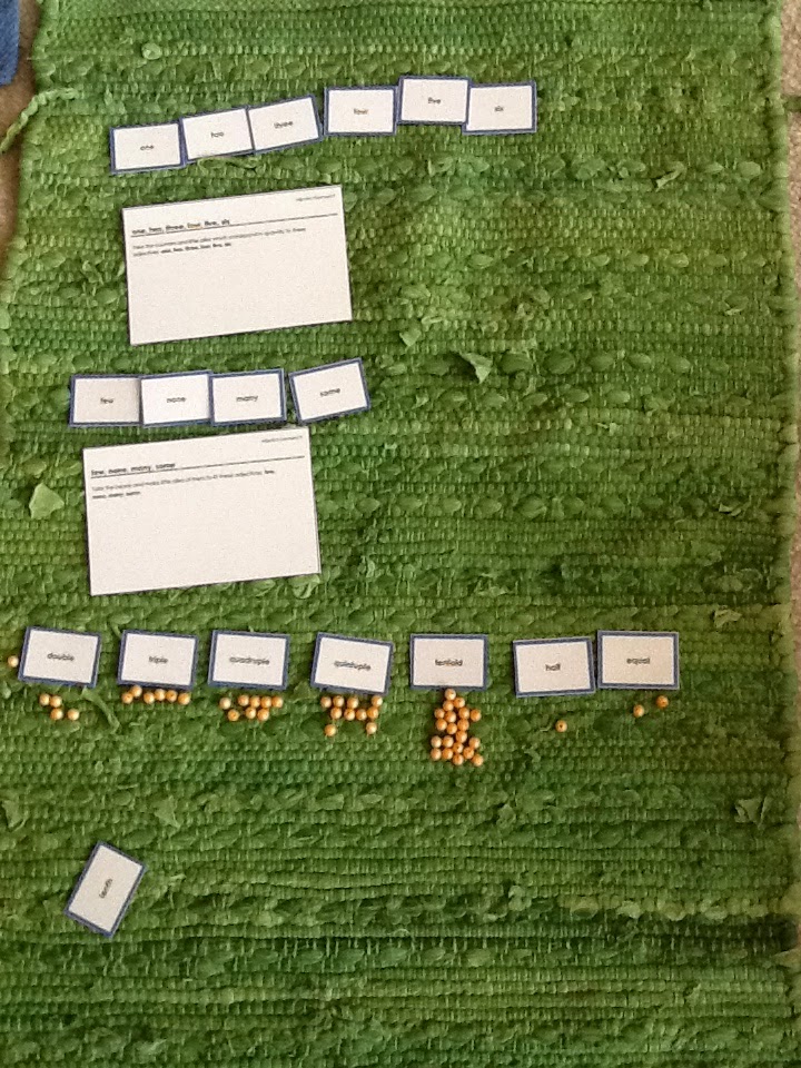 The Joys of Montessori Homeschooling: Adjective command cards