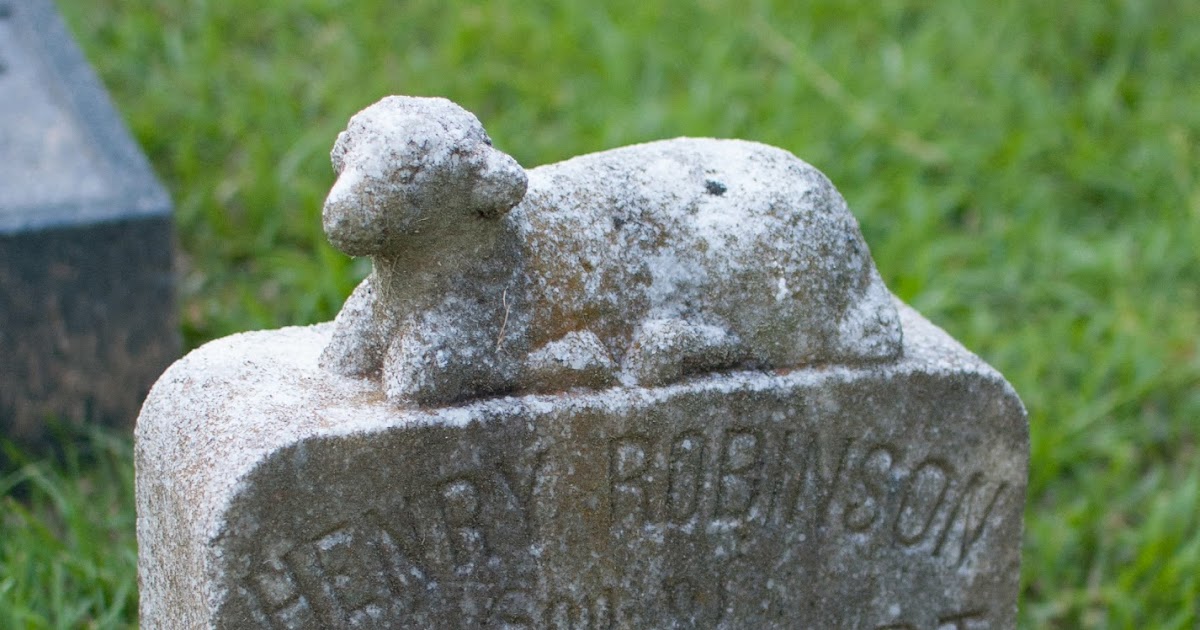 Rose and Her Lily: Inspiration for Lily's Stone