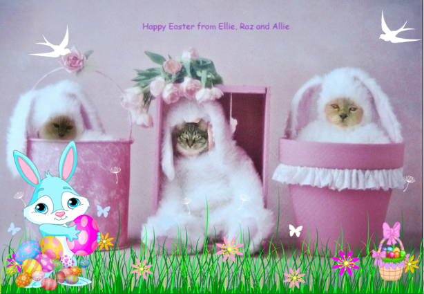 Friends FurEver: Caturday Cat Art - Easter weekend