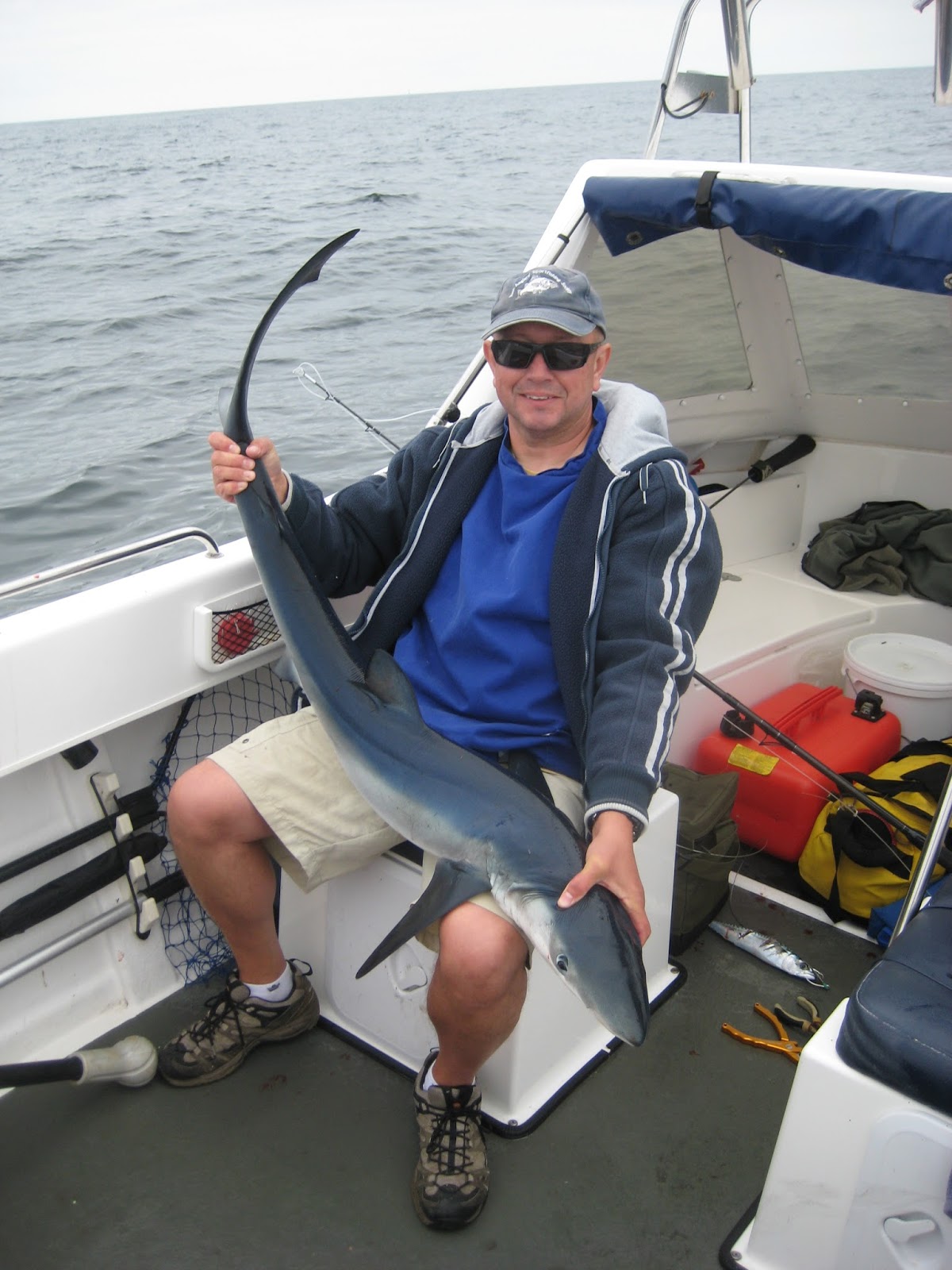 Diary Of An Average Angler: 12-14/8/16 Super Sharking