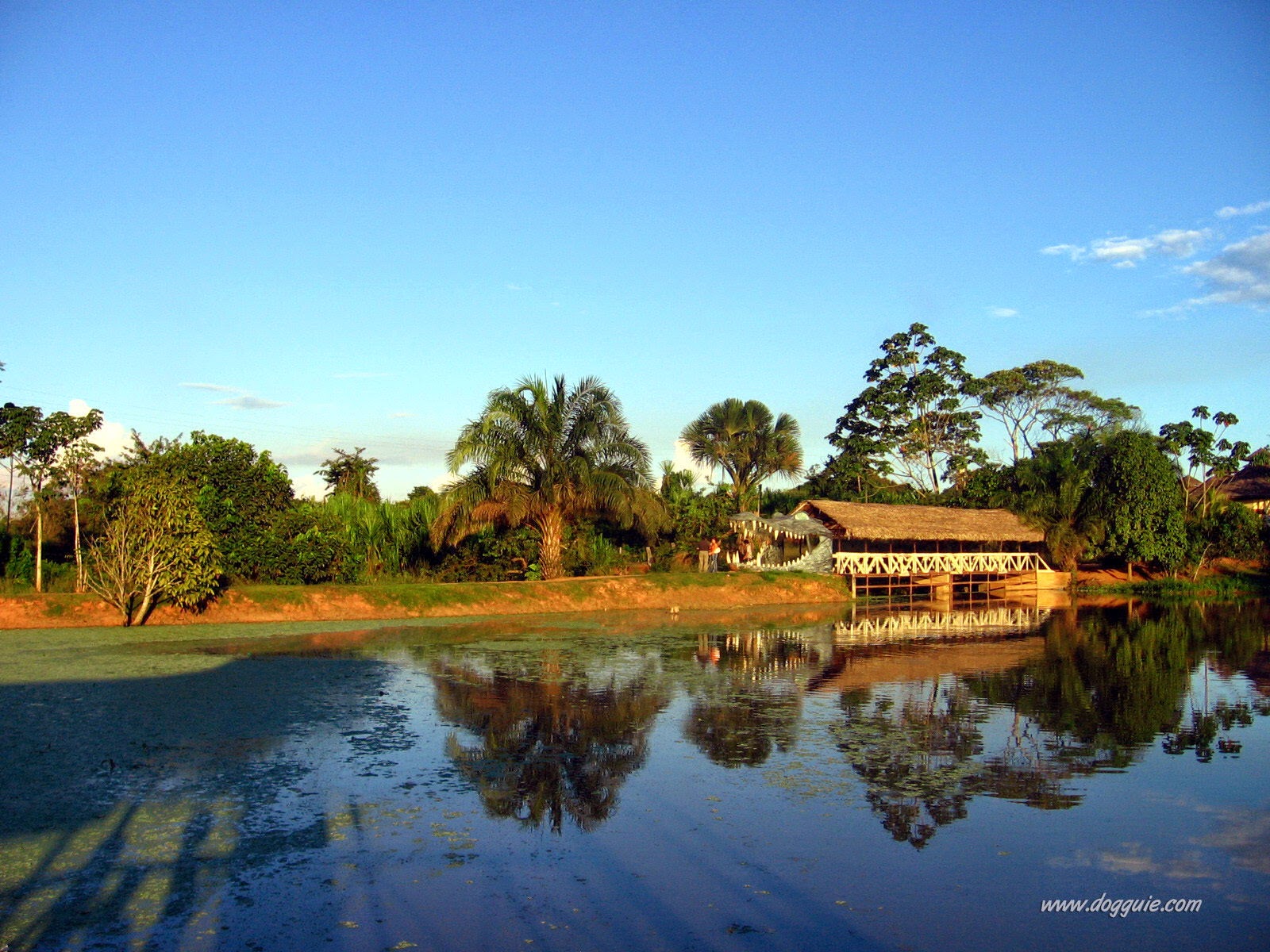 imagenes peru 21: imagenes de la selva peruana