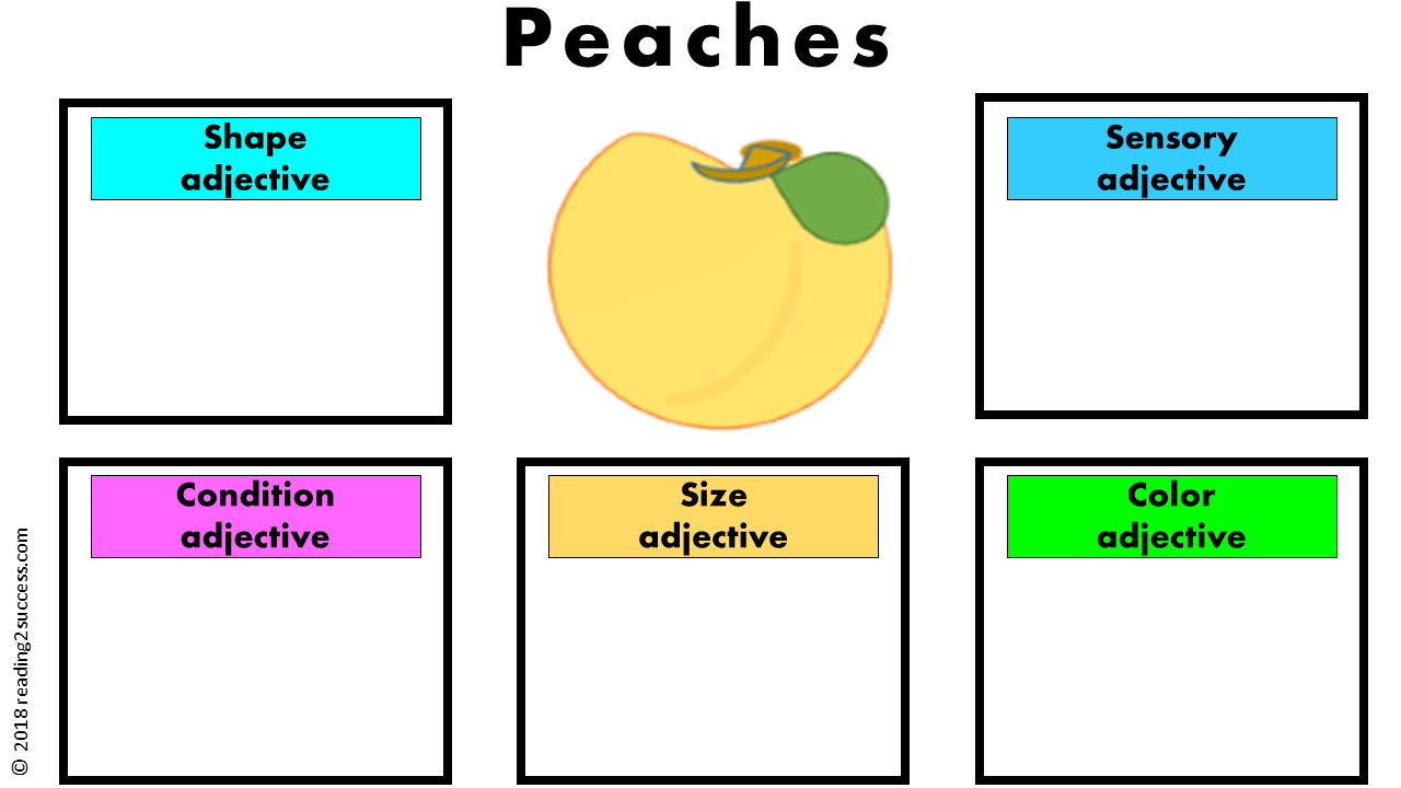 Reading2success: Introduce shape, size, sensory, condition and color ...