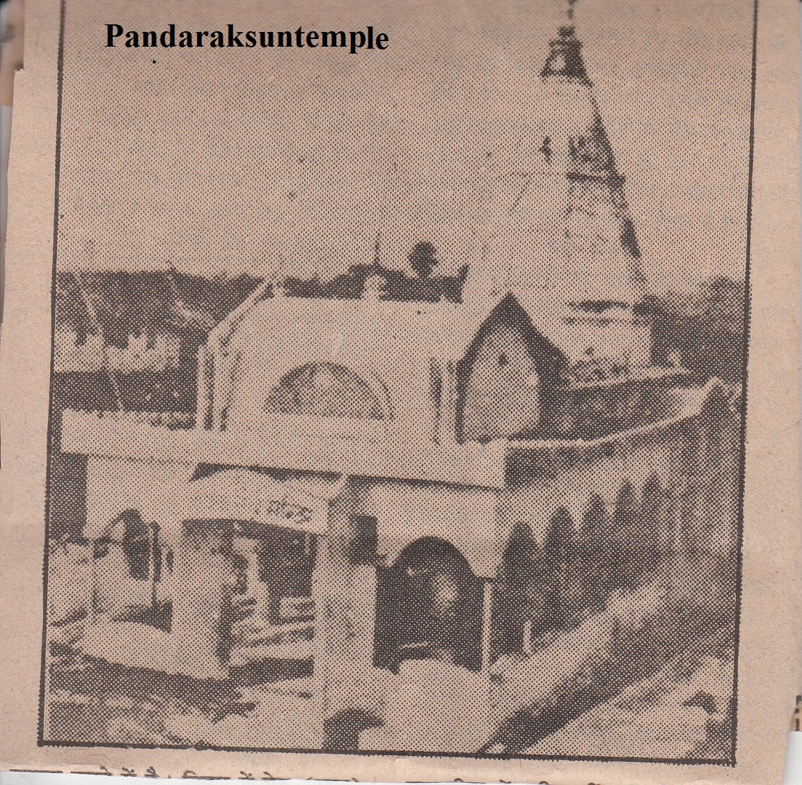 Bihar Trip: November 2013