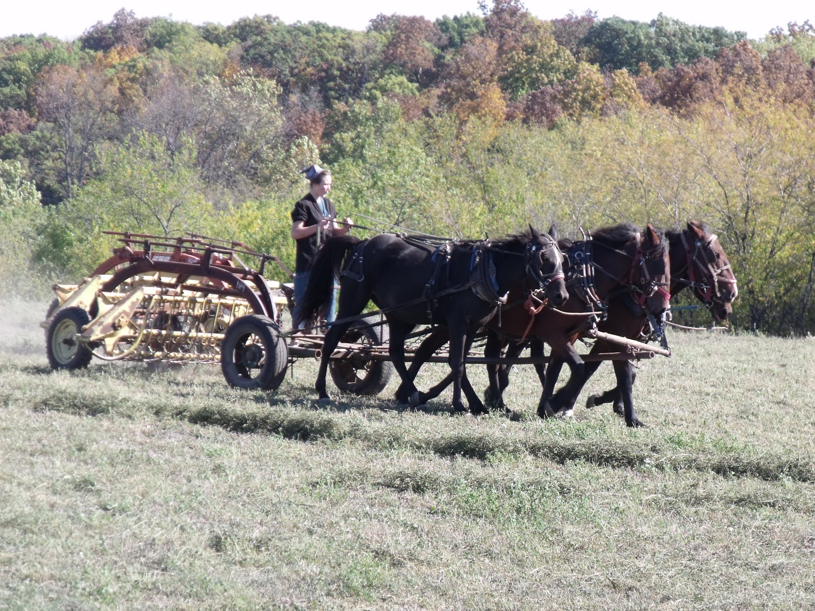 Seriously?: Fall Hay Harvest