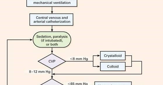 Promo 31+ Algoritma Syok Sepsis