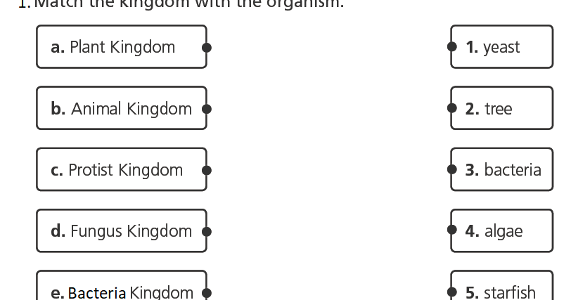 5th Grade - Andrés Segovia: UNIT 1: Kingdoms - REVISION