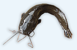 BELI IKAN KELI SUNGAI KE??? | Diari Chrissella