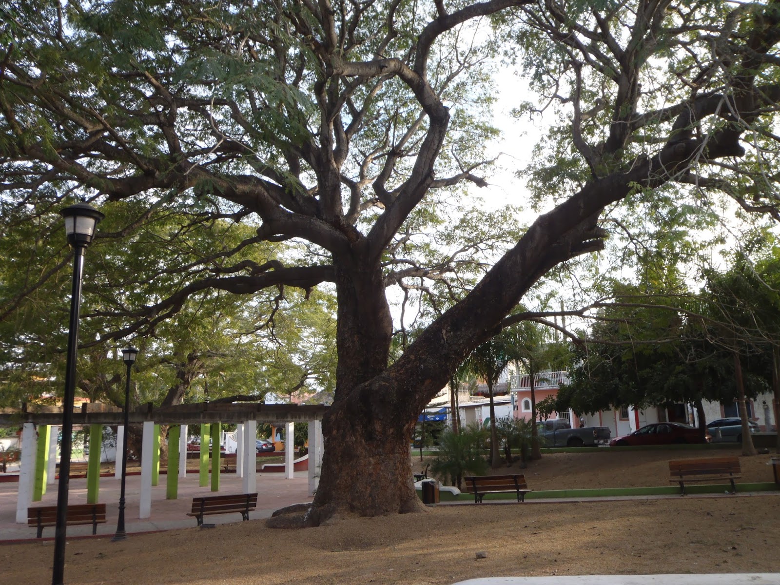 Sailing Sirena: La Cruz de Huanacaxtle