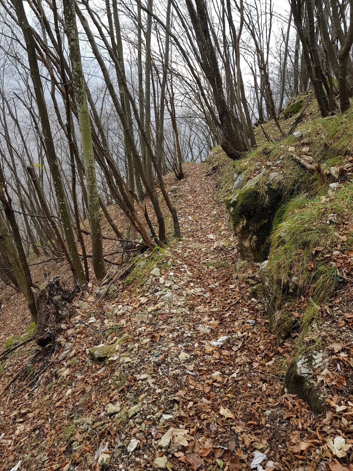 Su strade e sentieri: COL D'ASTIAGO (m. 1.241) - SENTIERO DEL VU - Val ...
