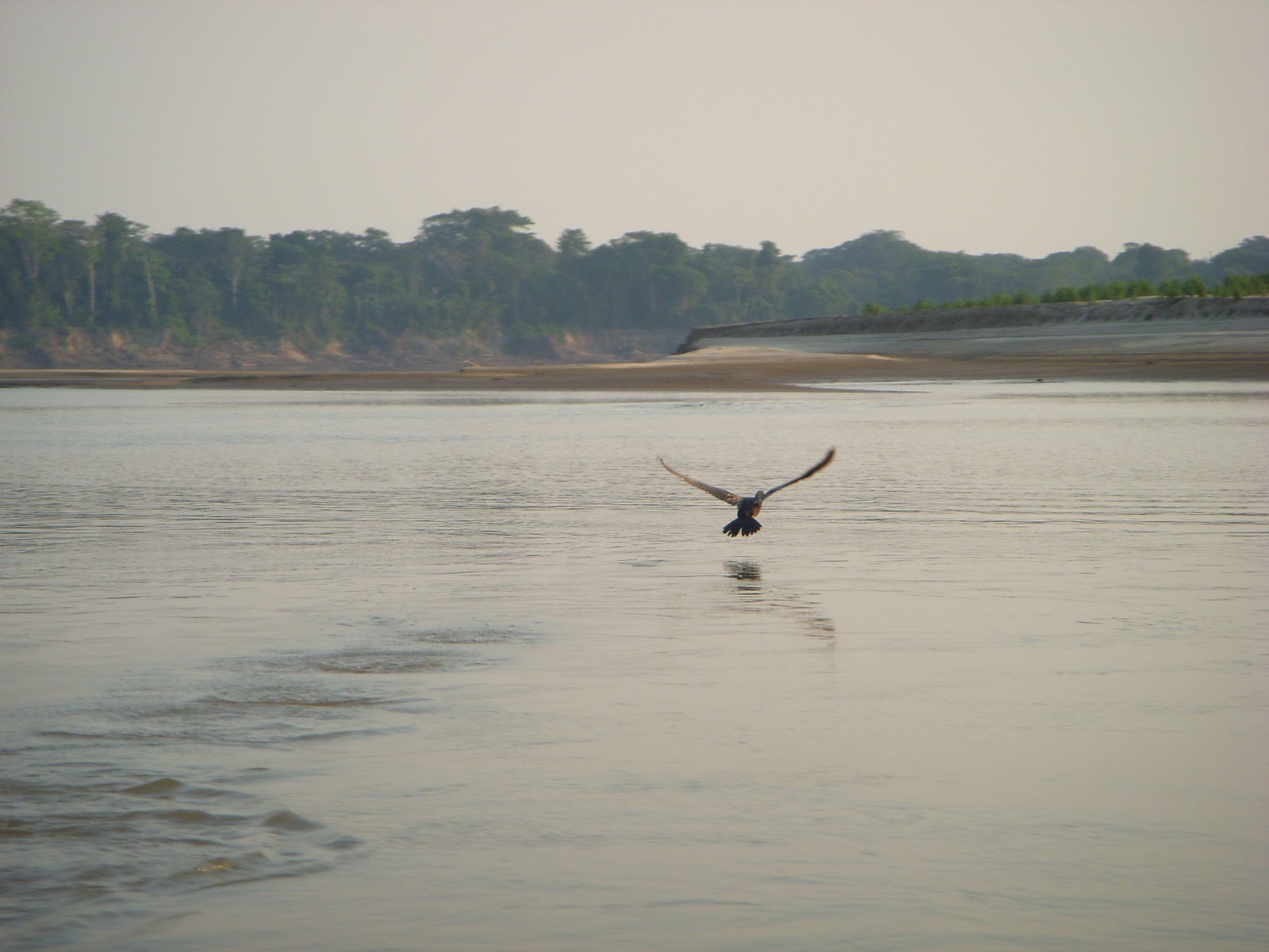 Río Mamoré | Ríos Más Largos del Mundo