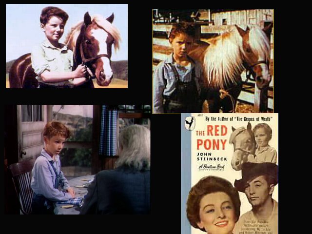 Photos Peter Miles (Gerald Perreau Saussine)